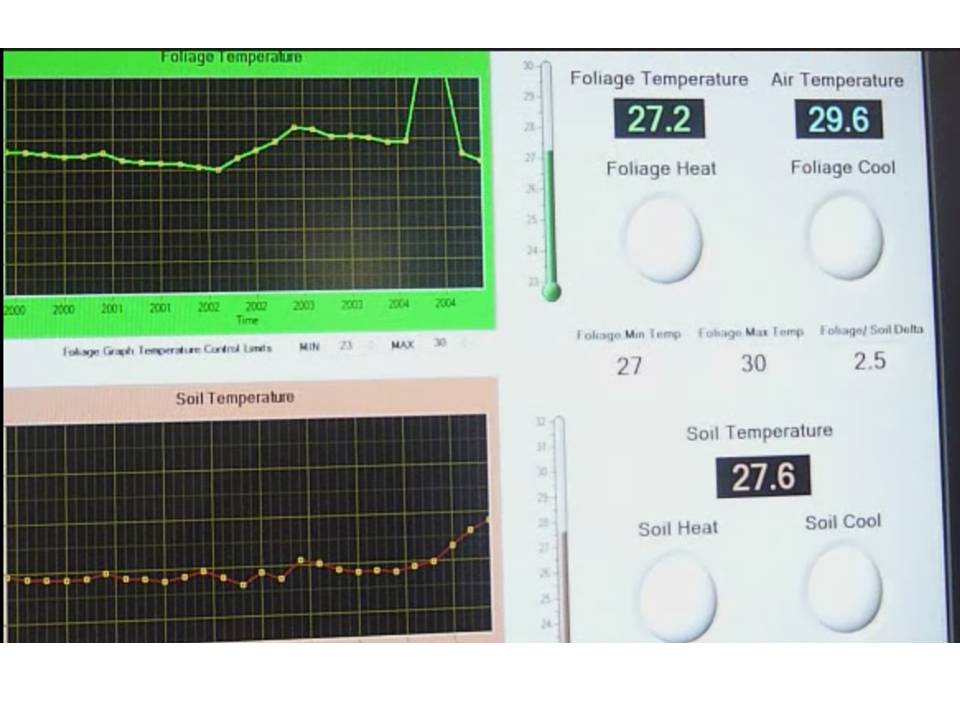 Infrared Temperature Sensor Monitor