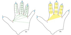 How do fingerprint, finger geometry & vein recognition biometrics work?