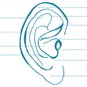 Facial Recognition Biometrics: Advancements and Applications